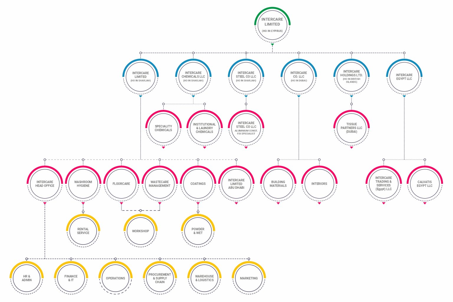 Intercare Group Structure - Intercare Limited